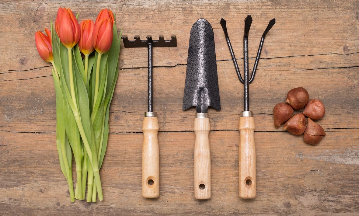 Strumenti per il giardinaggio domestico - Garden Point