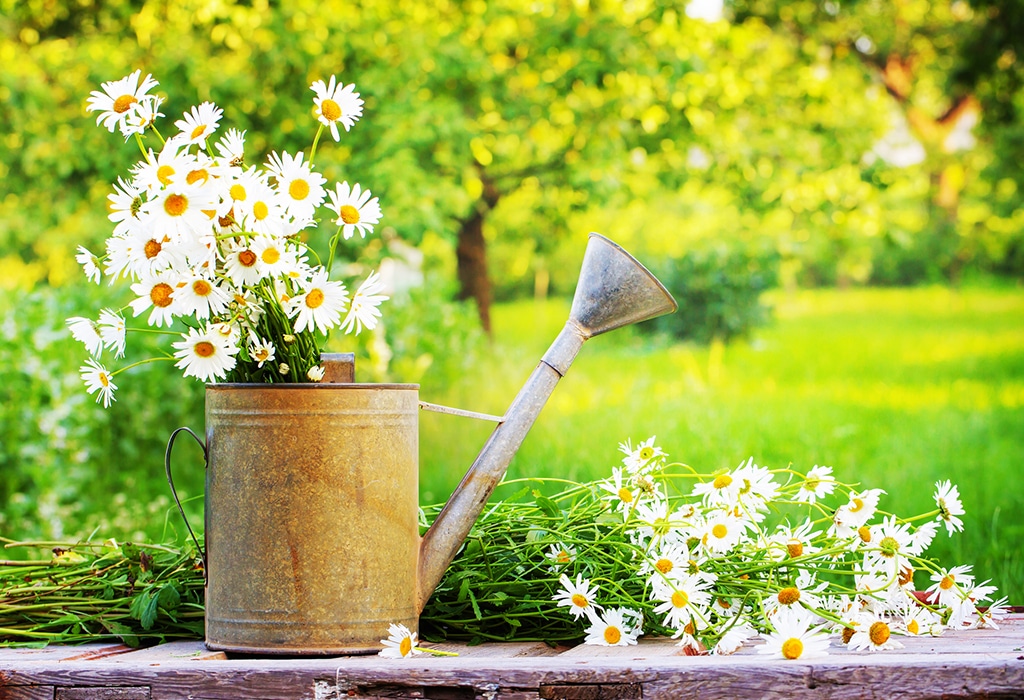 Consigli utili su come preparare il giardino alla primavera - Garden Point
